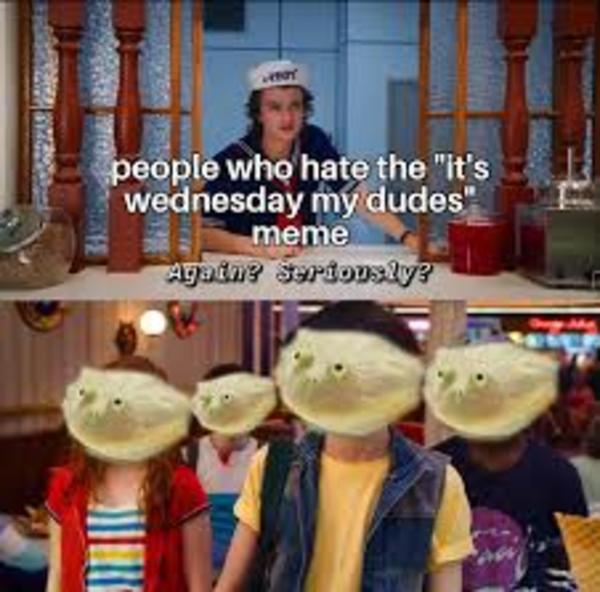 Every week, my dude | It Is Wednesday My Dudes | Know Your Meme