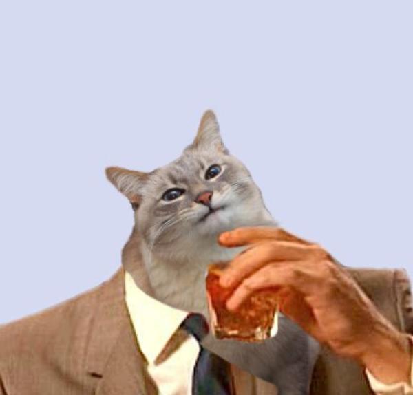 Kot Draper | Laughing Don Draper | Know Your Meme