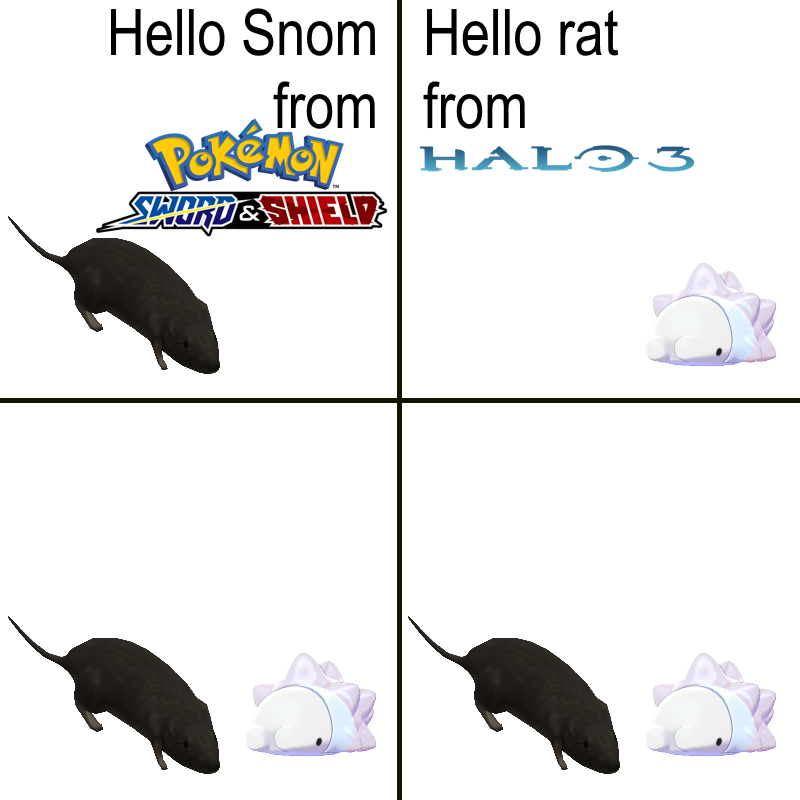 They're the same picture and you can't convince me otherwise. | Hello ...