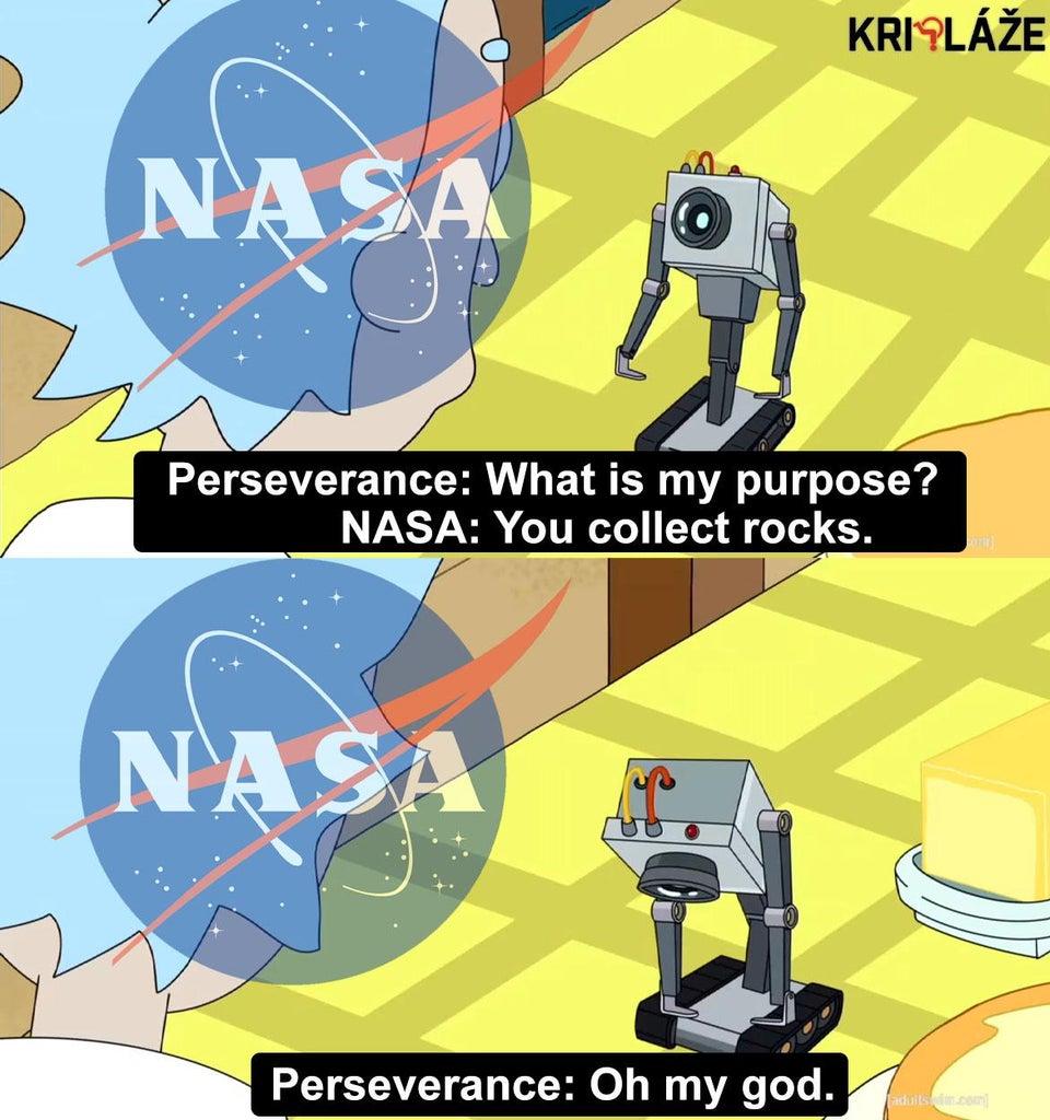 What Is My Purpose? | Rick and Morty | Know Your Meme