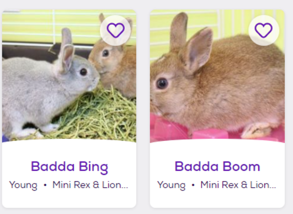 Badda Bing and Badda Boom | Rabbits | Know Your Meme