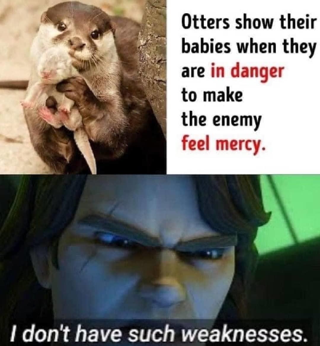 I dont have such weakness | /r/PrequelMemes | I Don't Have Such ...