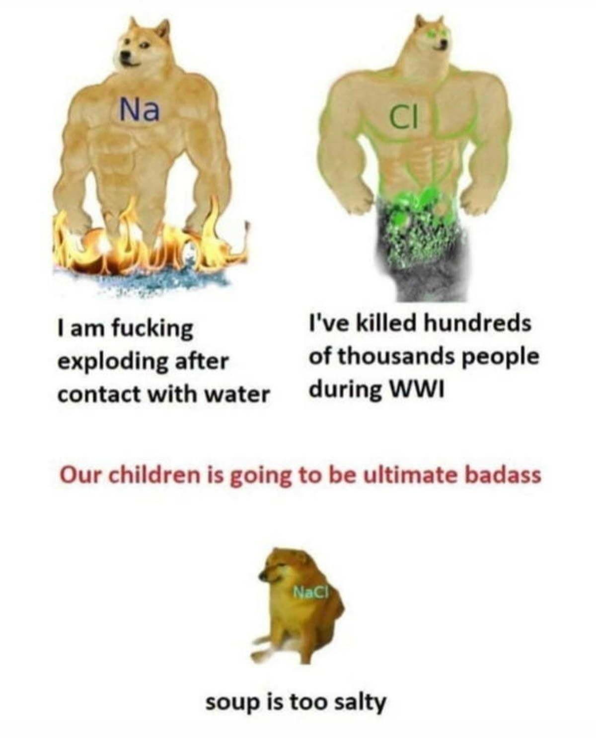 The NaCl child | /r/memes | Know Your Meme