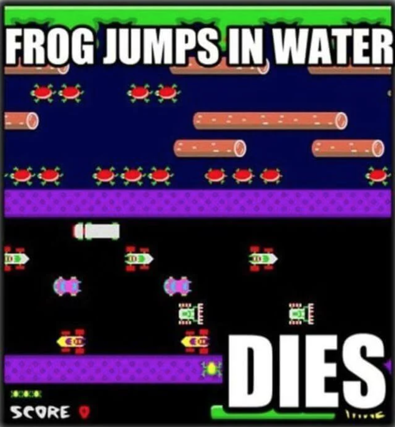 frog | Gaming | Know Your Meme