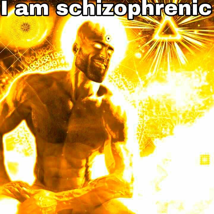 I Am Schizophrenic | Schizoposting | Know Your Meme