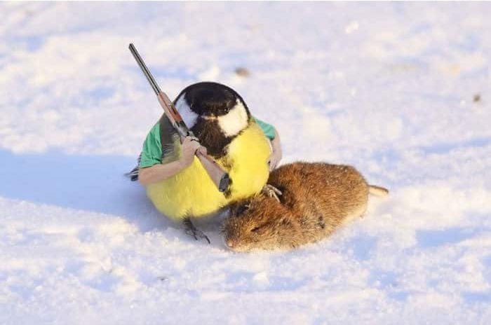 A Successful Hunt | Birds with Arms | Know Your Meme