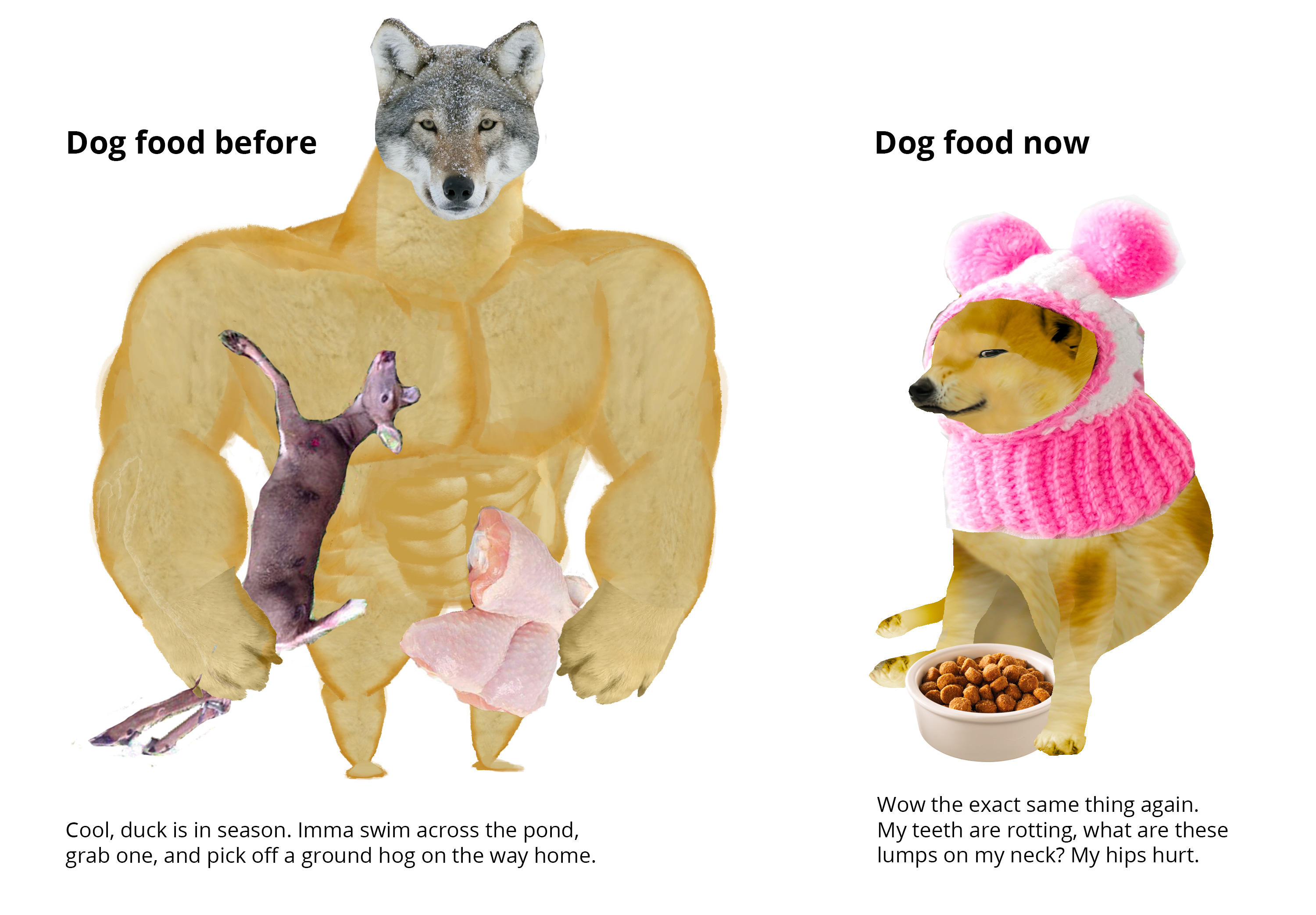 Kibble | Swole Doge vs. Cheems | Know Your Meme