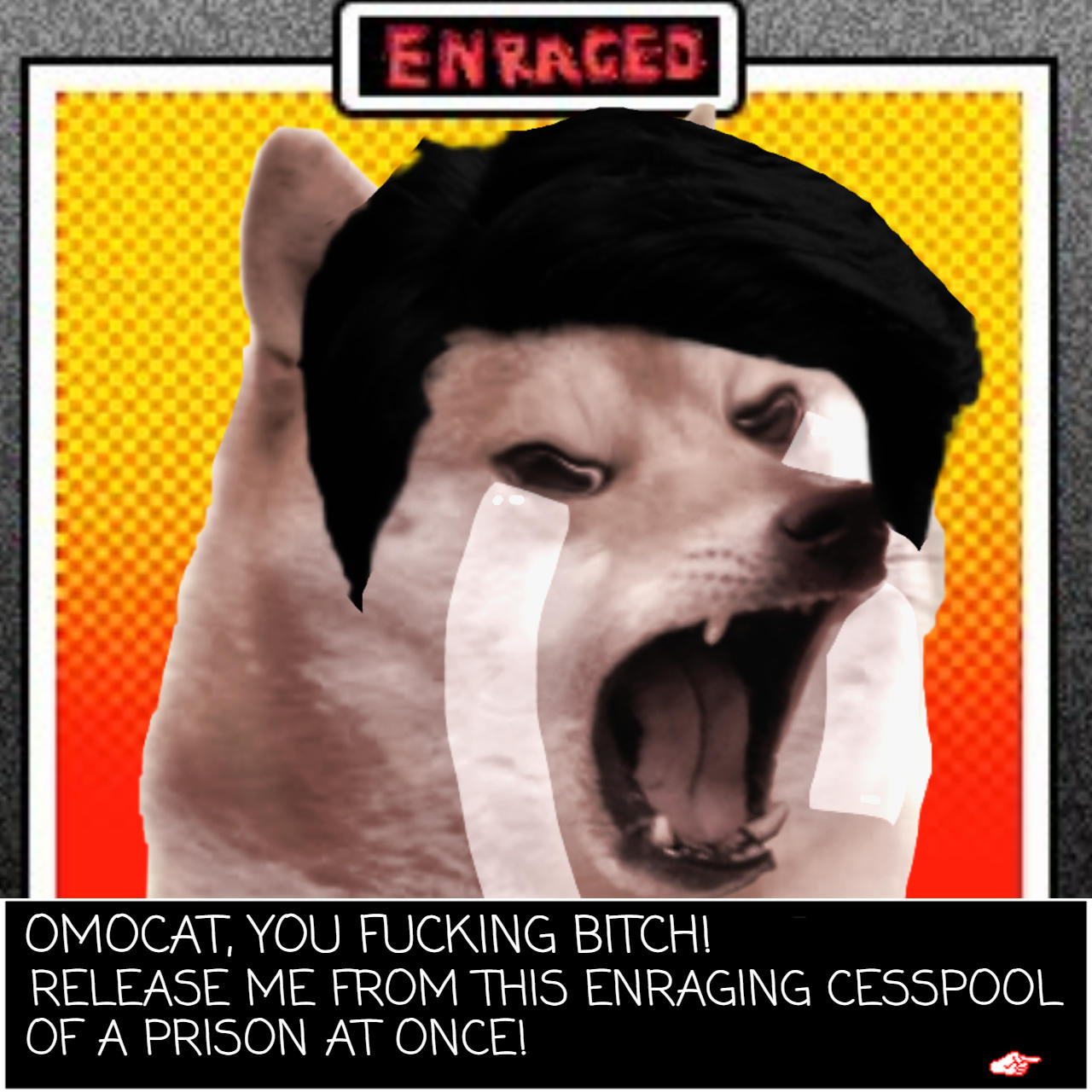 le enraging prison has arrived | /r/dogelore | Ironic Doge Memes | Know ...