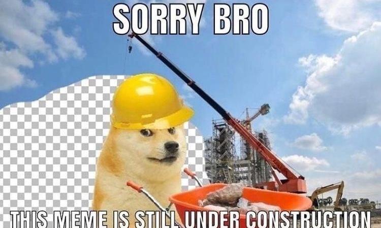 sorry bro | /r/dogelore | Ironic Doge Memes | Know Your Meme