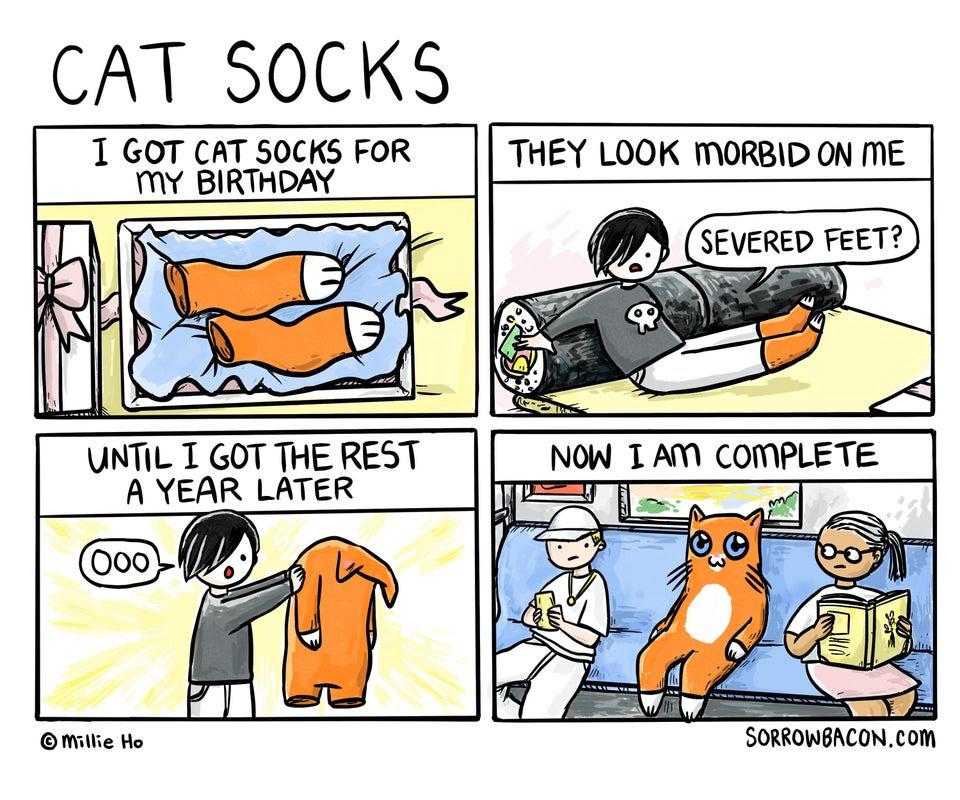 Cat Socks | Know Your Meme