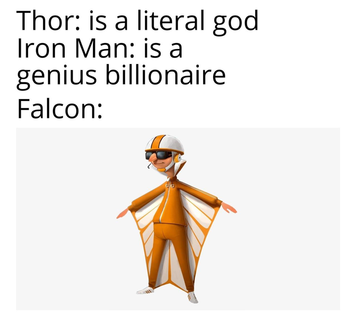 Falcon | Marvel Cinematic Universe (MCU) | Know Your Meme