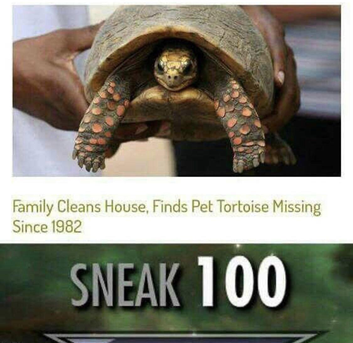 thats an old turtle | Skyrim Skill Tree | Know Your Meme