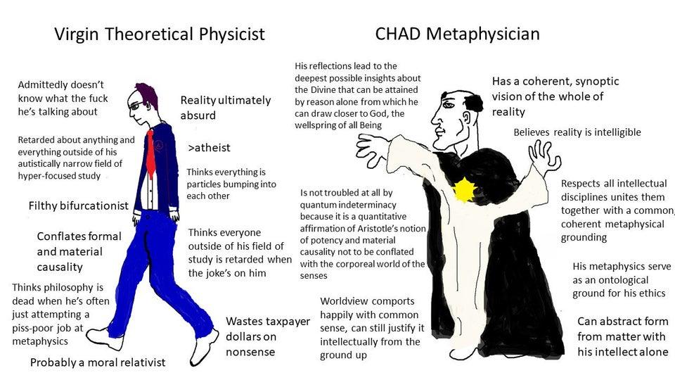 virgin theoretical physicist vs chad metaphysician, physics ...