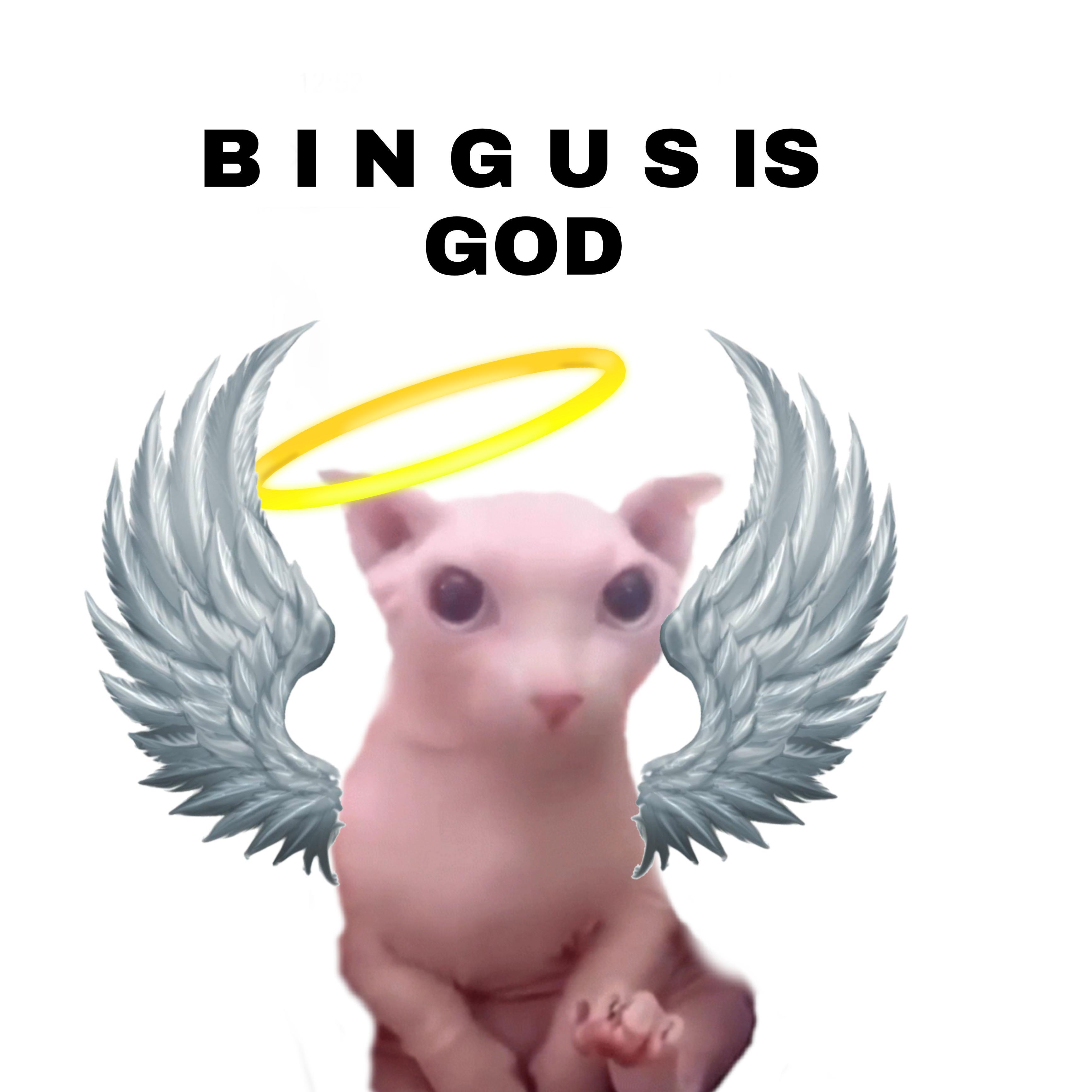 say a little prayer with me | Bingus | Know Your Meme