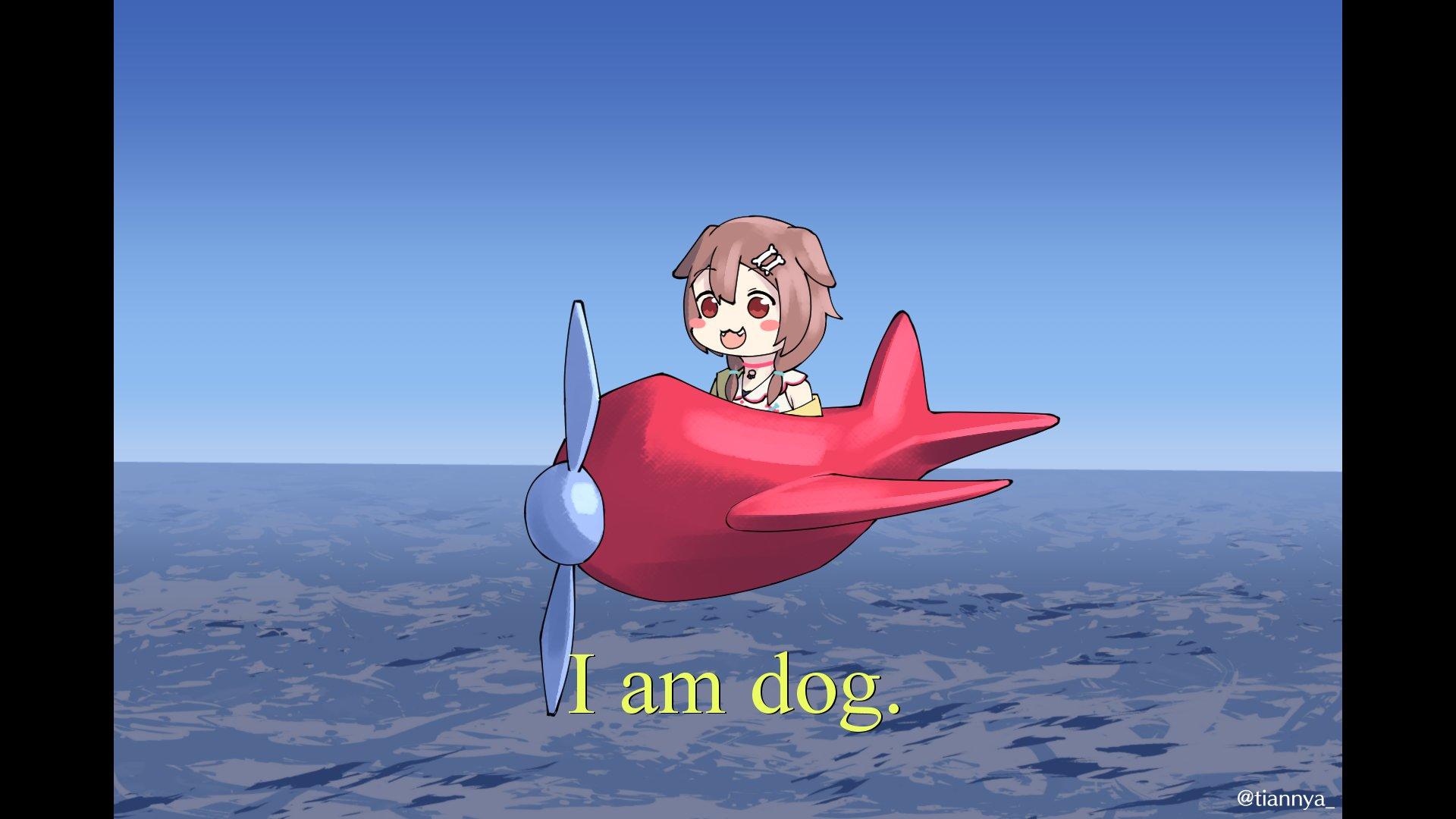 that’s a good wisdom | Dog of Wisdom | Know Your Meme