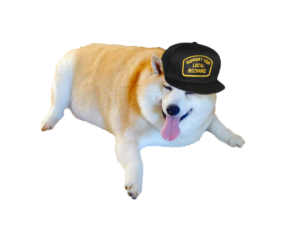 Le Google search of Fat Shiba In- I mean Happy Uncle Murphy has arrived ...