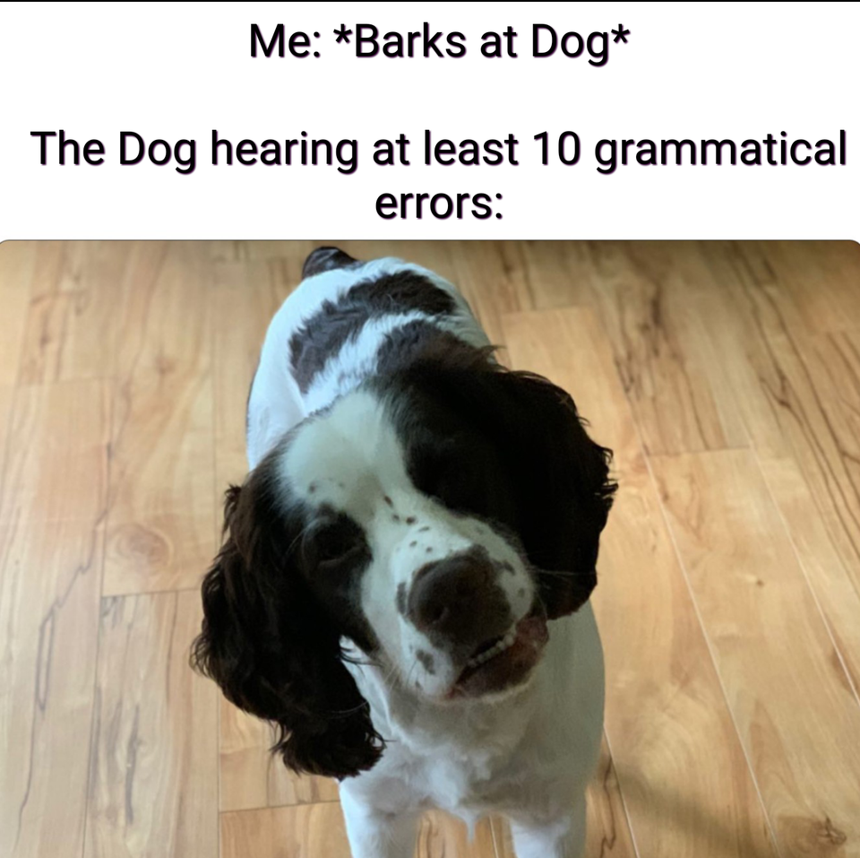 Speaking Their Language | Dogs | Know Your Meme