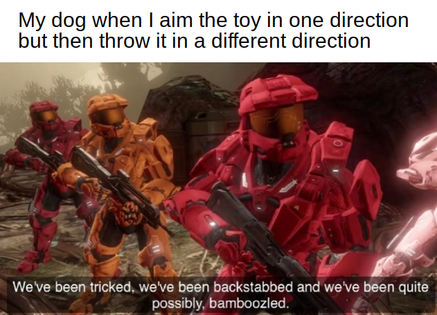 Bamboozled | Dogs | Know Your Meme