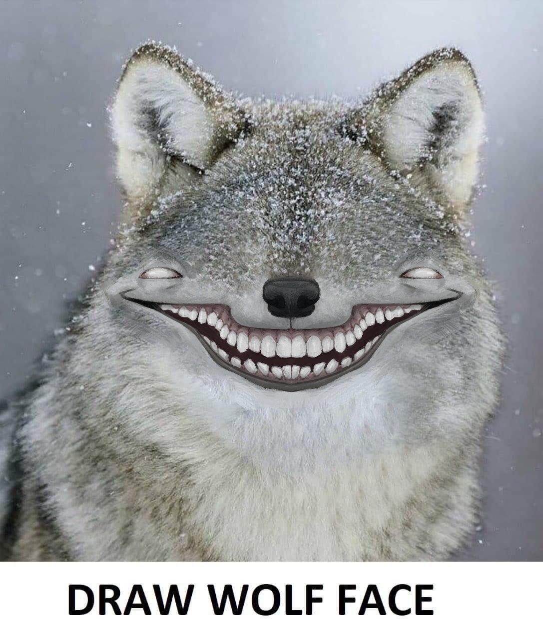 Did the comedic wolf image by Spoonchomper | Draw Wolf Face | Know Your ...