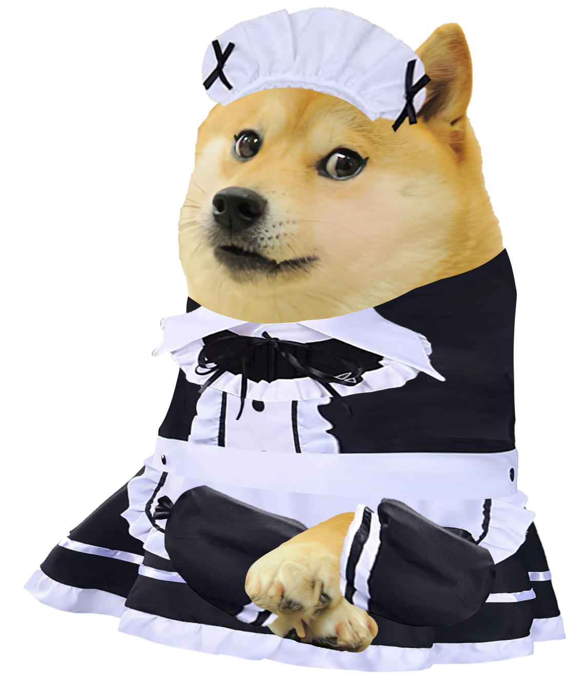 le doge in maid dress has unfortunately arrived | /r/dogelore | Ironic ...
