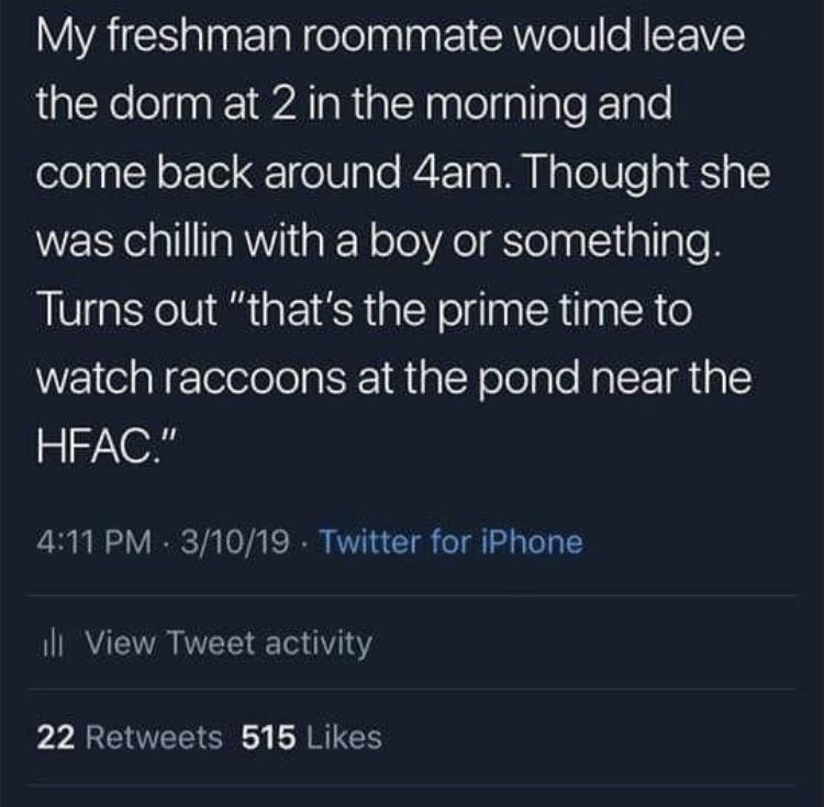 Prime Time | Know Your Meme