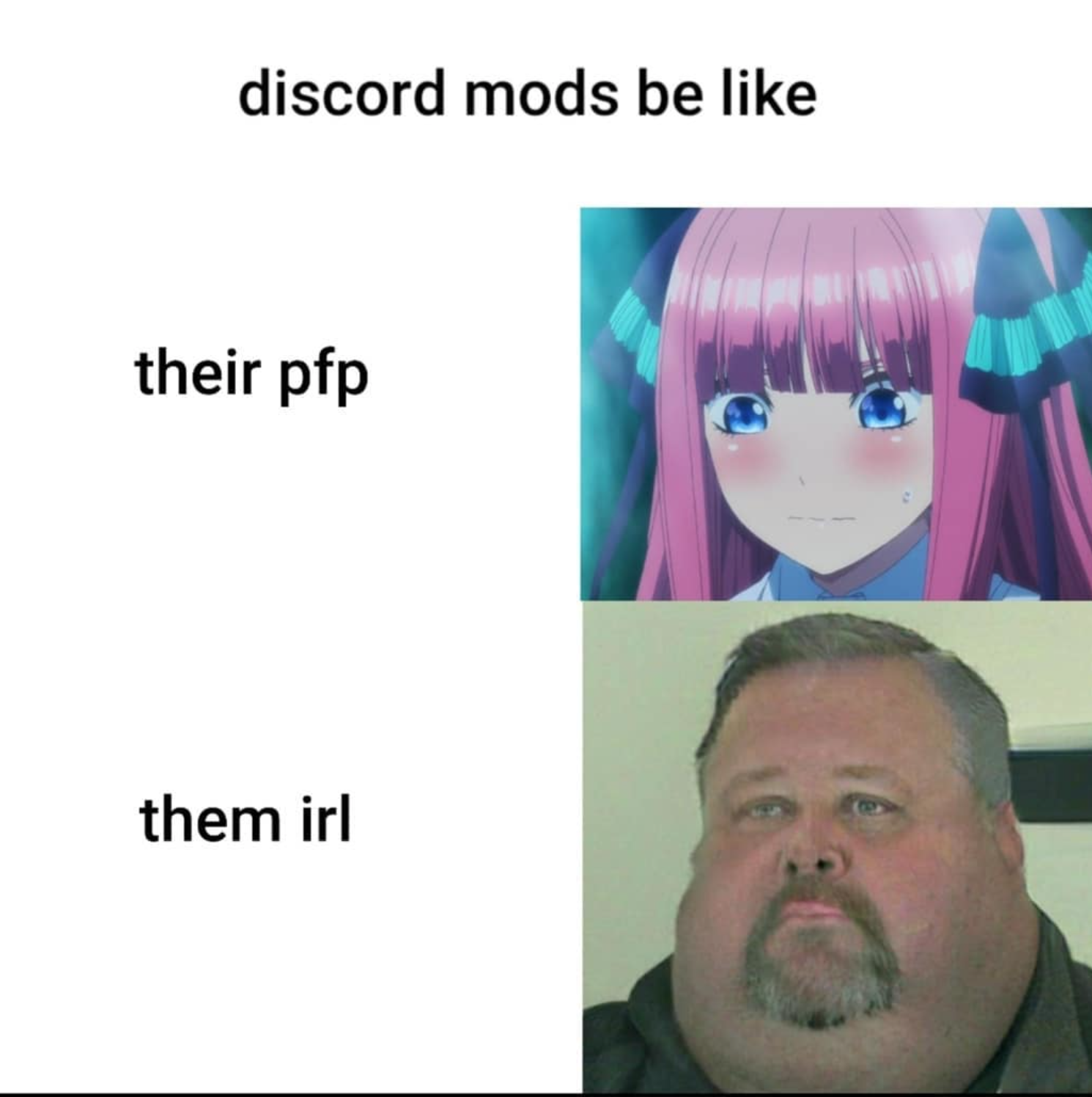 Sir Meme Discord Server Pfp Ideas Images IMAGESEE