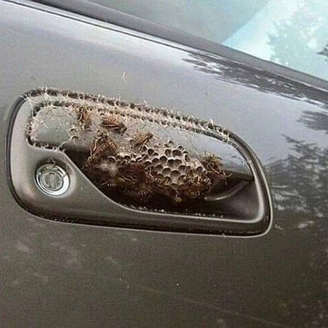 Cursed_Car Door | Cursed Images | Know Your Meme
