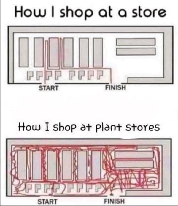 The Scenic Route | Know Your Meme