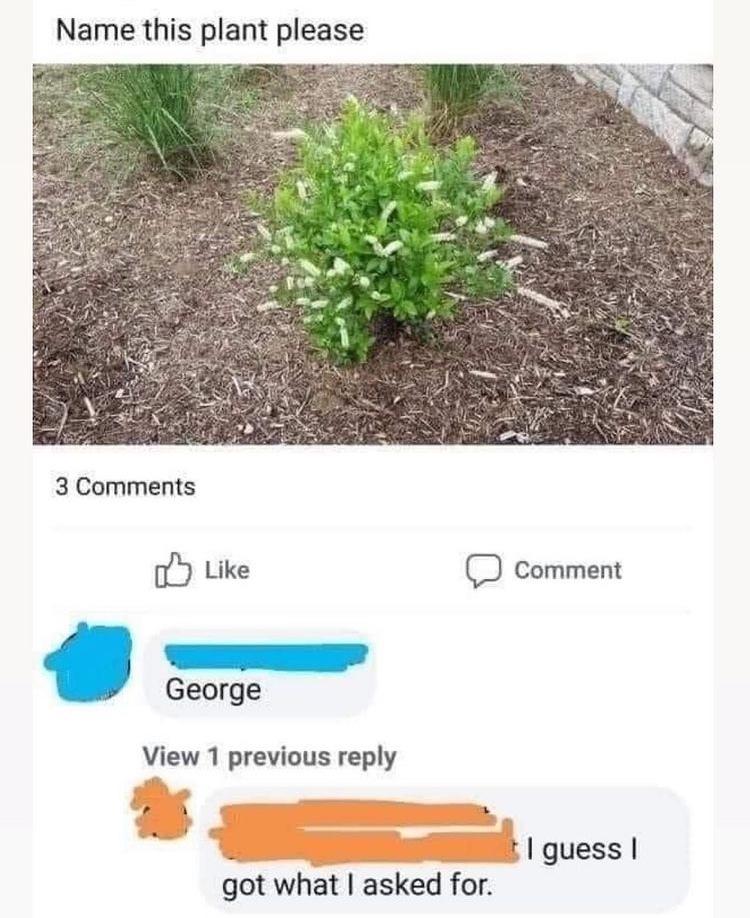 George | Know Your Meme