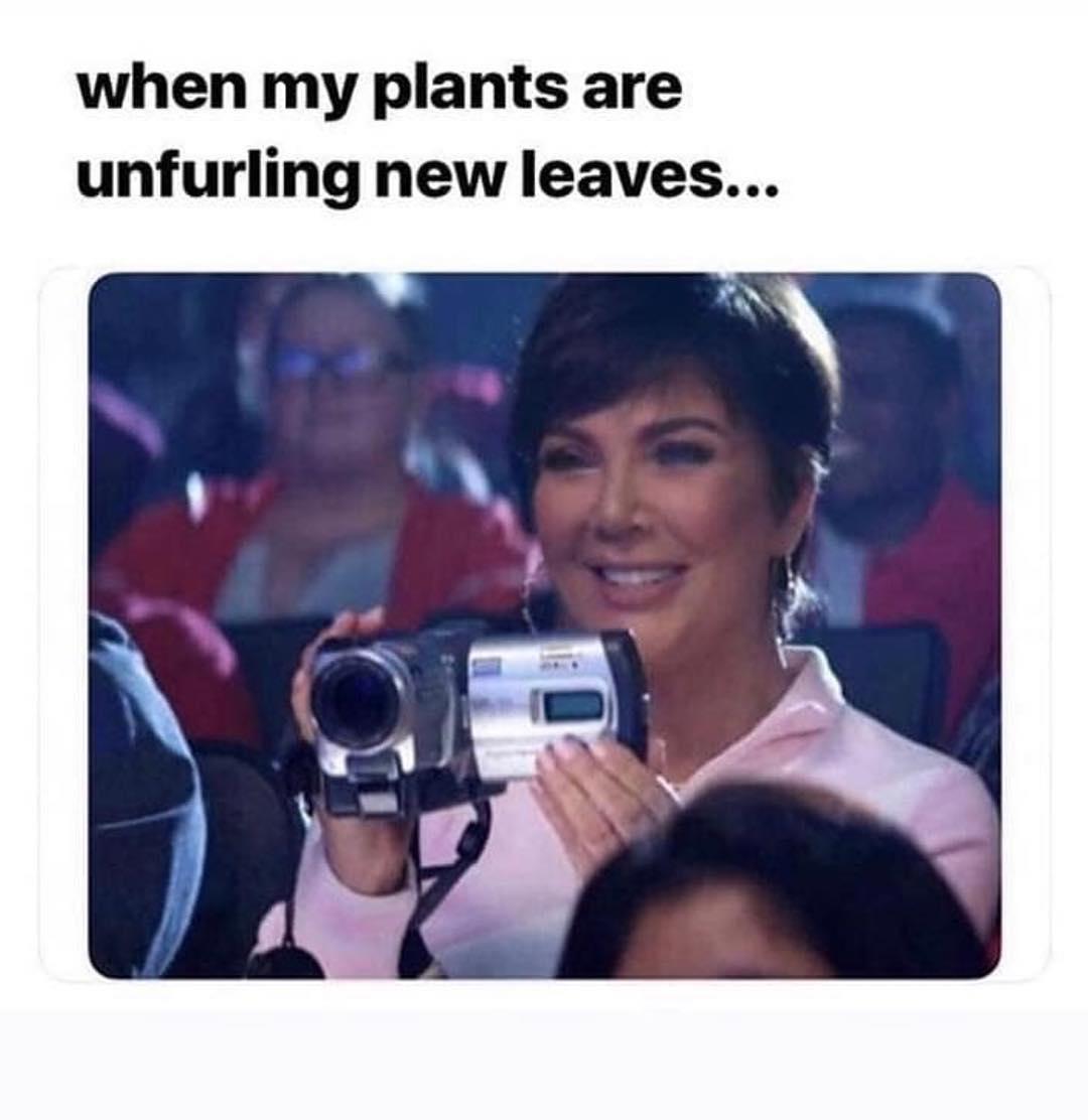 Doing Amazing Sweetie | Know Your Meme