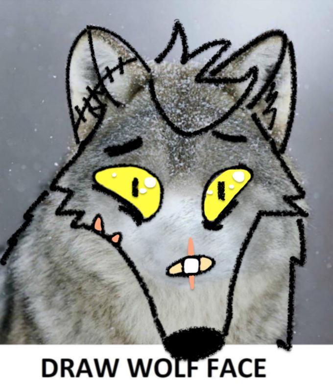 Draw Wolf Face | Draw Wolf Face | Know Your Meme
