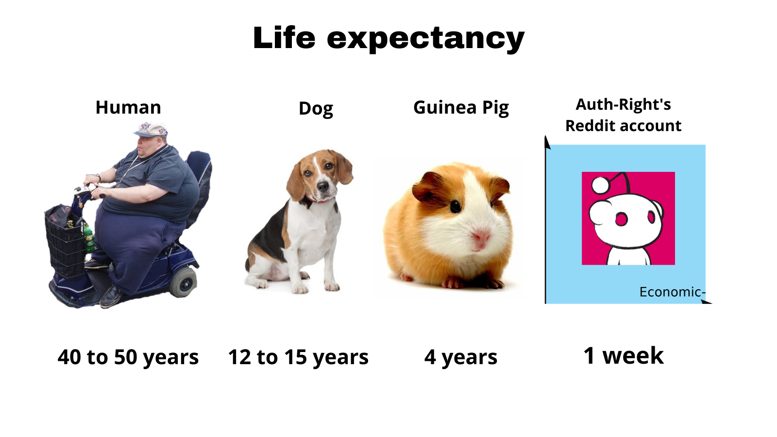 Life expectancy across the animal kingdom | /r/PoliticalCompassMemes ...