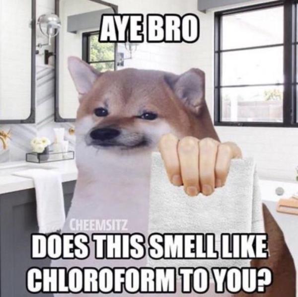 try it out | /r/okbuddyretard | OkBuddyRetard | Know Your Meme