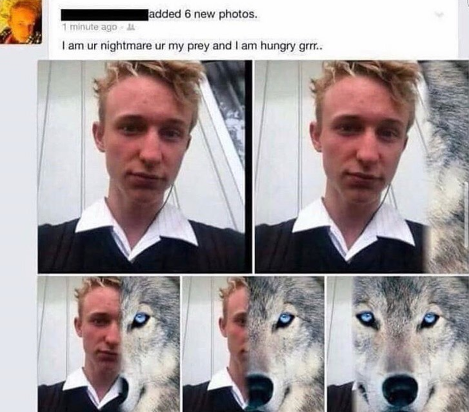 Grrr | Know Your Meme