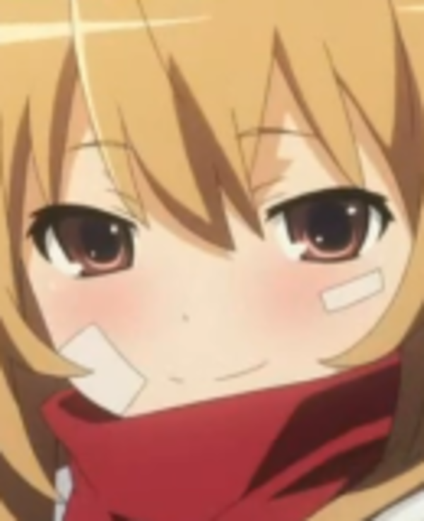 Taiga tsundere from Toradora | Tsundere | Know Your Meme