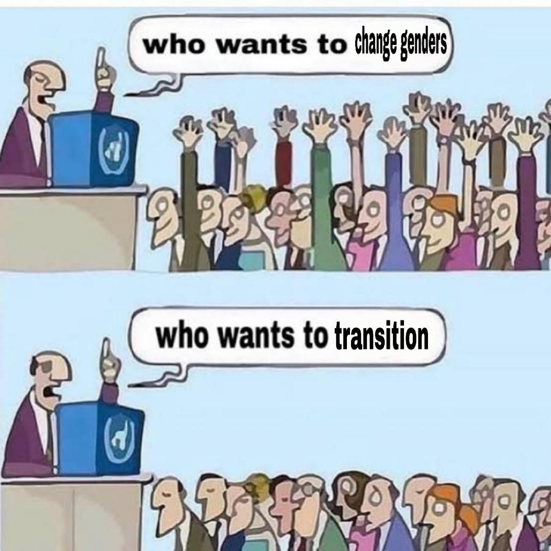 Who Wants to Change Genders? Who Wants to Transition? | Who Wants ...