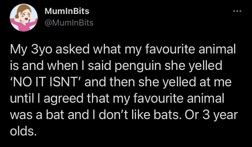 The Favorite Animal Debate | Know Your Meme