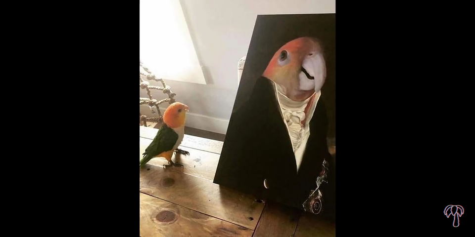 Blessed_Bird Portrait | Blessed Image | Know Your Meme