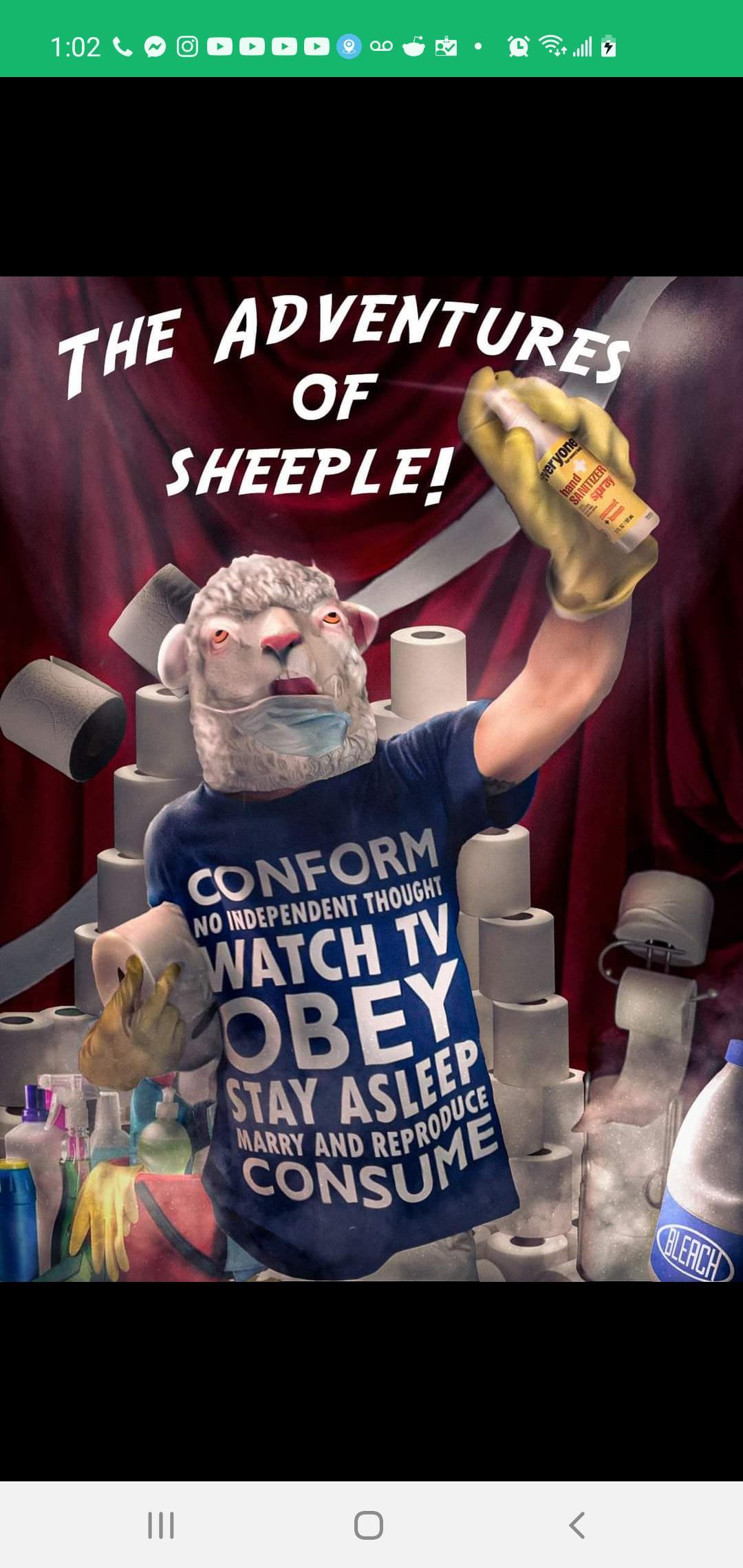 Sheeple | Know Your Meme