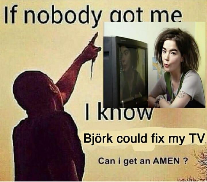 If Nobody Got Me, I Know Björk Could Fix My TV | If Nobody Got Me, I ...