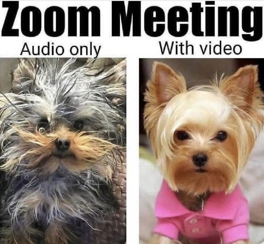 Audio Only | Zoom | Know Your Meme