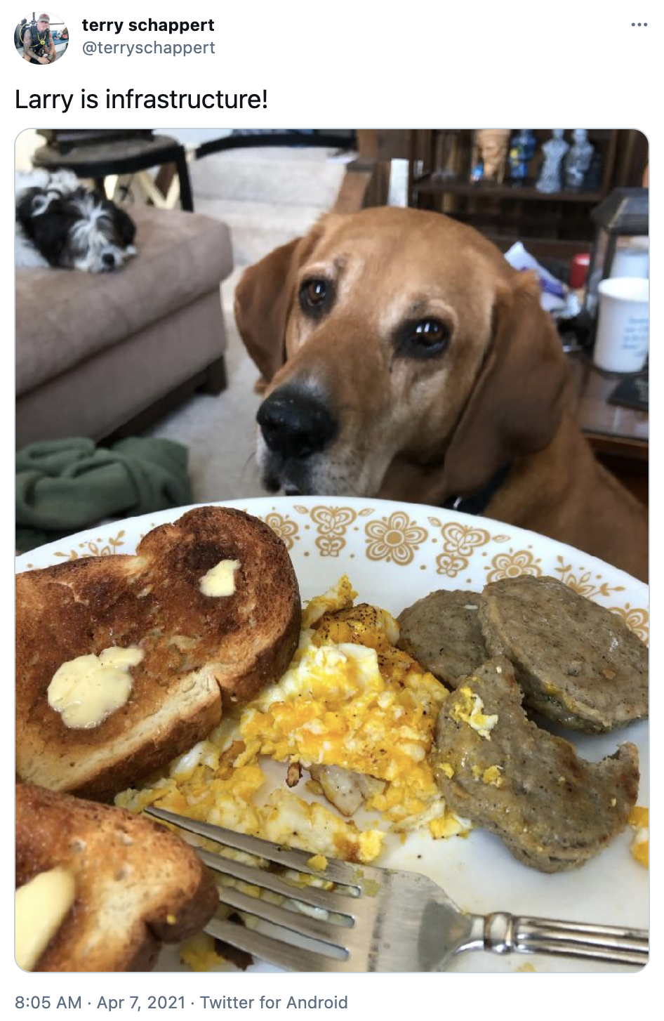 Larry is infrastructure | Is Infrastructure | Know Your Meme