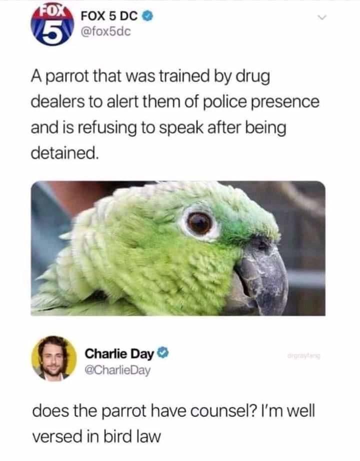 Filibuster | /r/IASIP | It's Always Sunny In Philadelphia | Know Your Meme