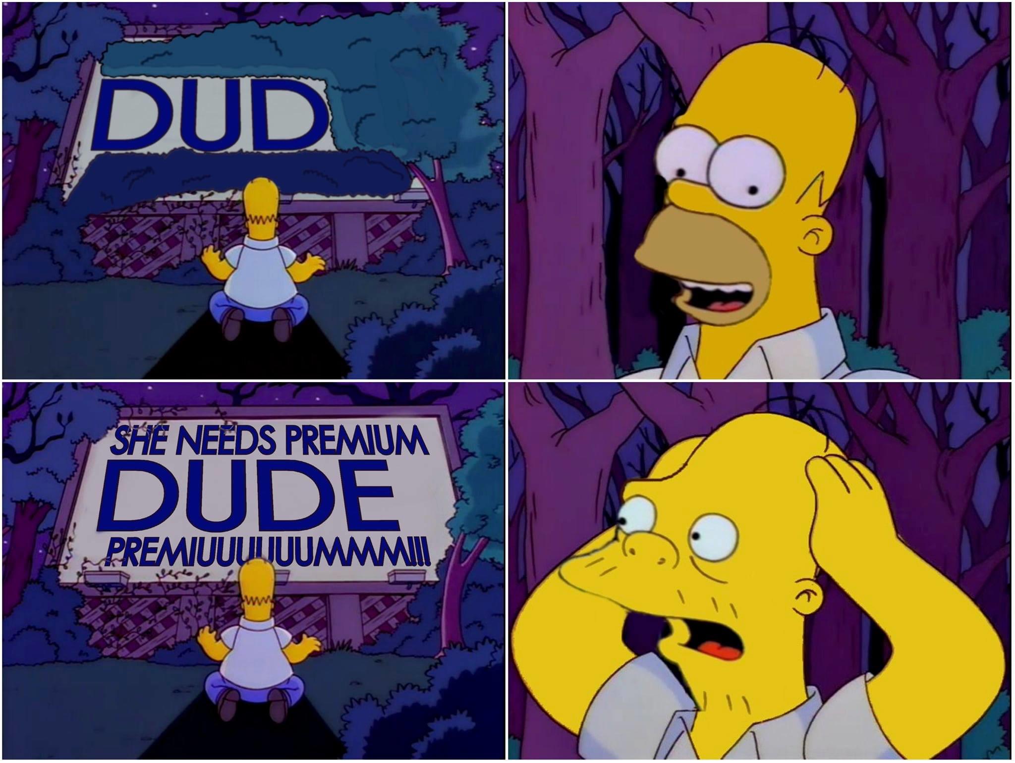 Dud | Simpsons Bortposting® | Know Your Meme