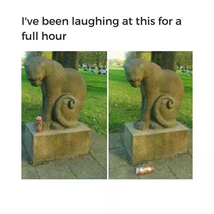 This ancient cat law has been carved in stone | Cats | Know Your Meme