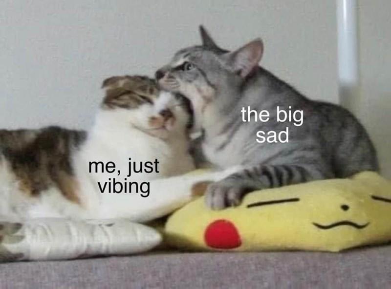 It creeps softly like a stalking cat | Cats | Know Your Meme