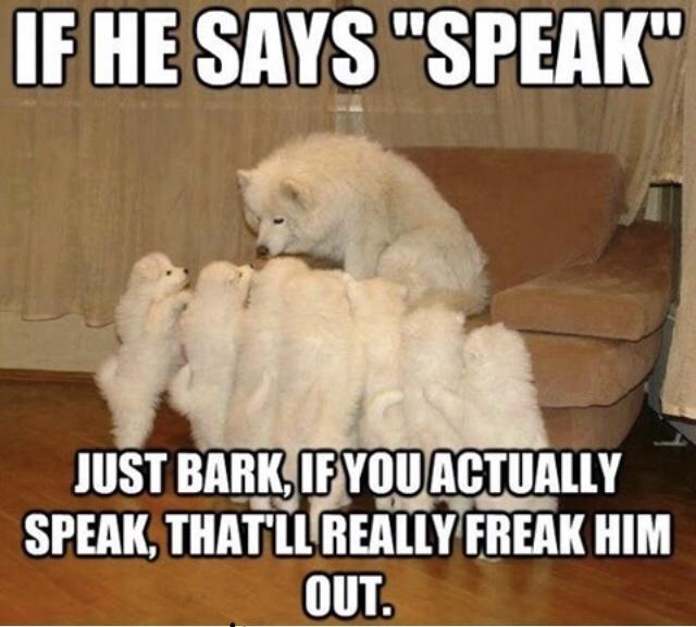 Sound advice from a sentient cloud | Dogs | Know Your Meme