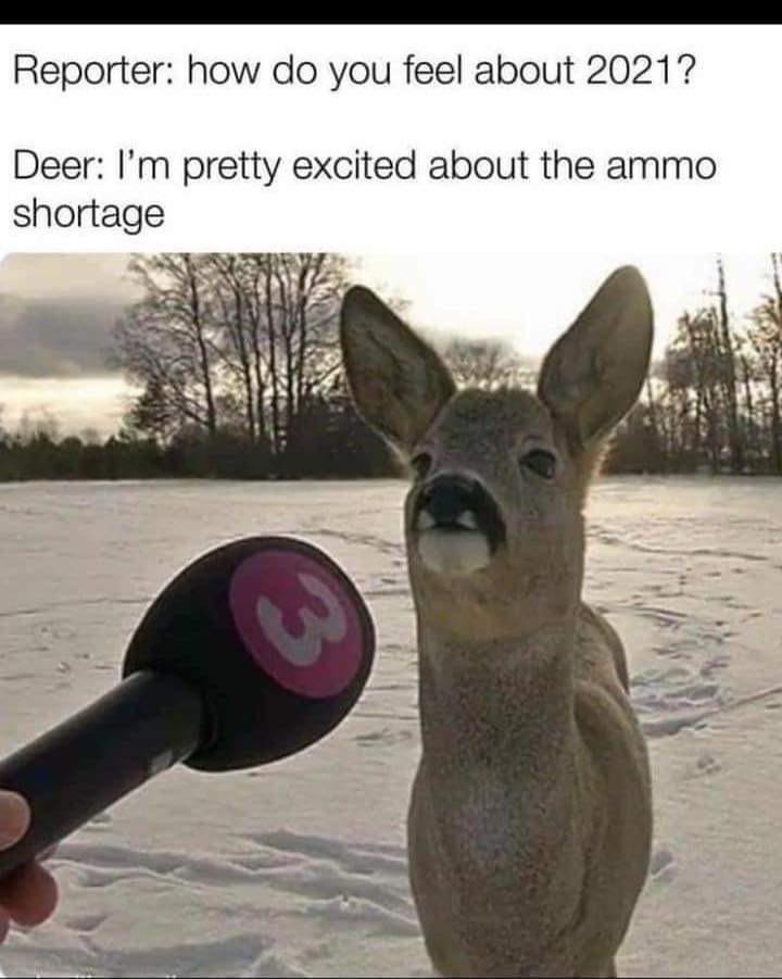 A good year for deer | Deer Being Interviewed / Canadian Deer | Know ...