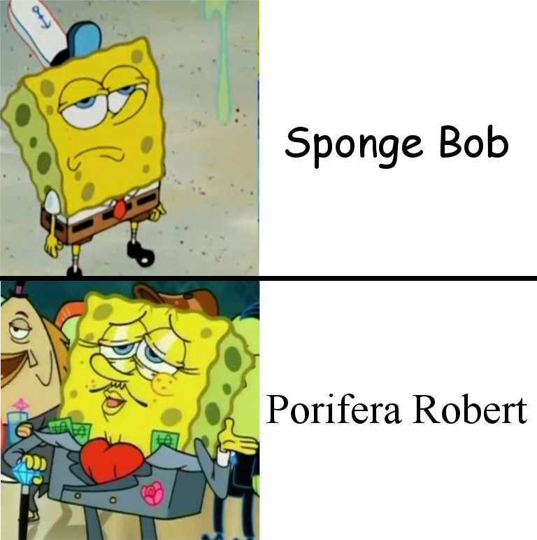 Porifera Robert Quadrilateral Trousers | SpongeBob SquarePants | Know ...