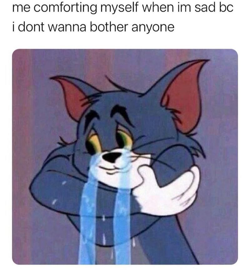Bothering myself | Tom and Jerry | Know Your Meme